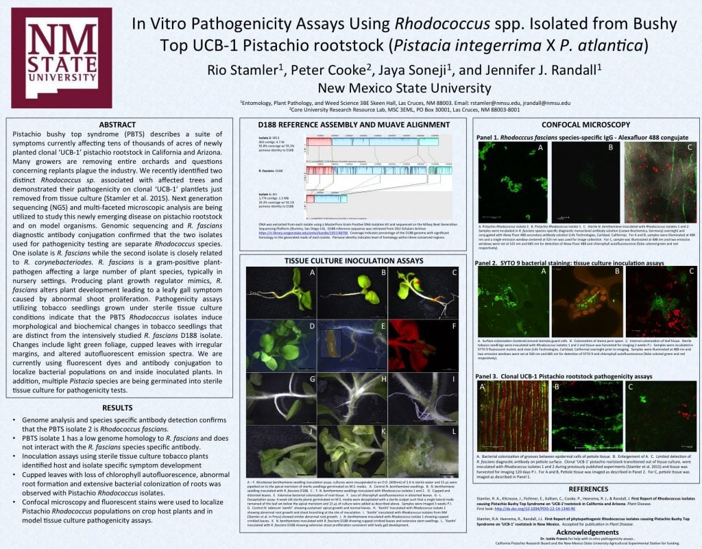 Posters | New Mexico State University - BE BOLD. Shape the Future.